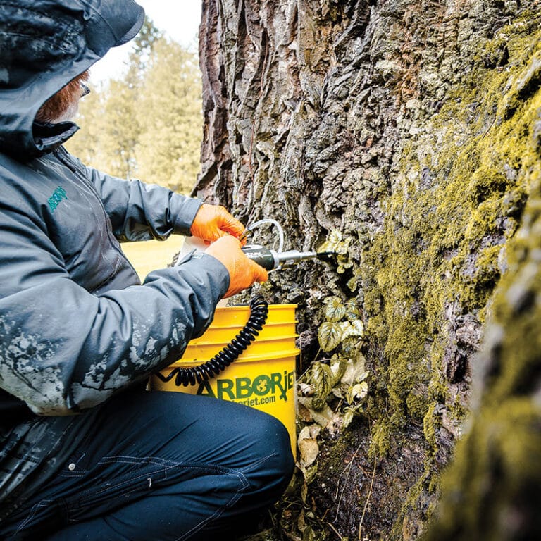 What Is Arborjet? - Tree Keepers®